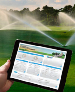 Spray Hawk Walk-Behind Sprayer | Greenman Golf & Turf Solutions